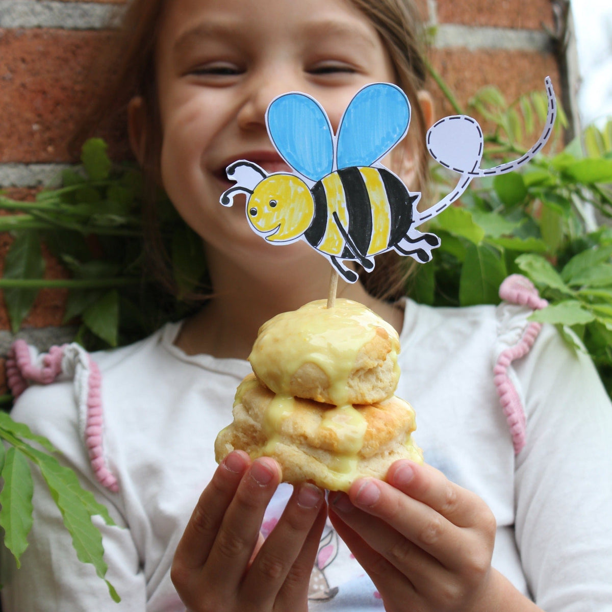 Bee Hive Scone Kit – Easy Peasy Cakes